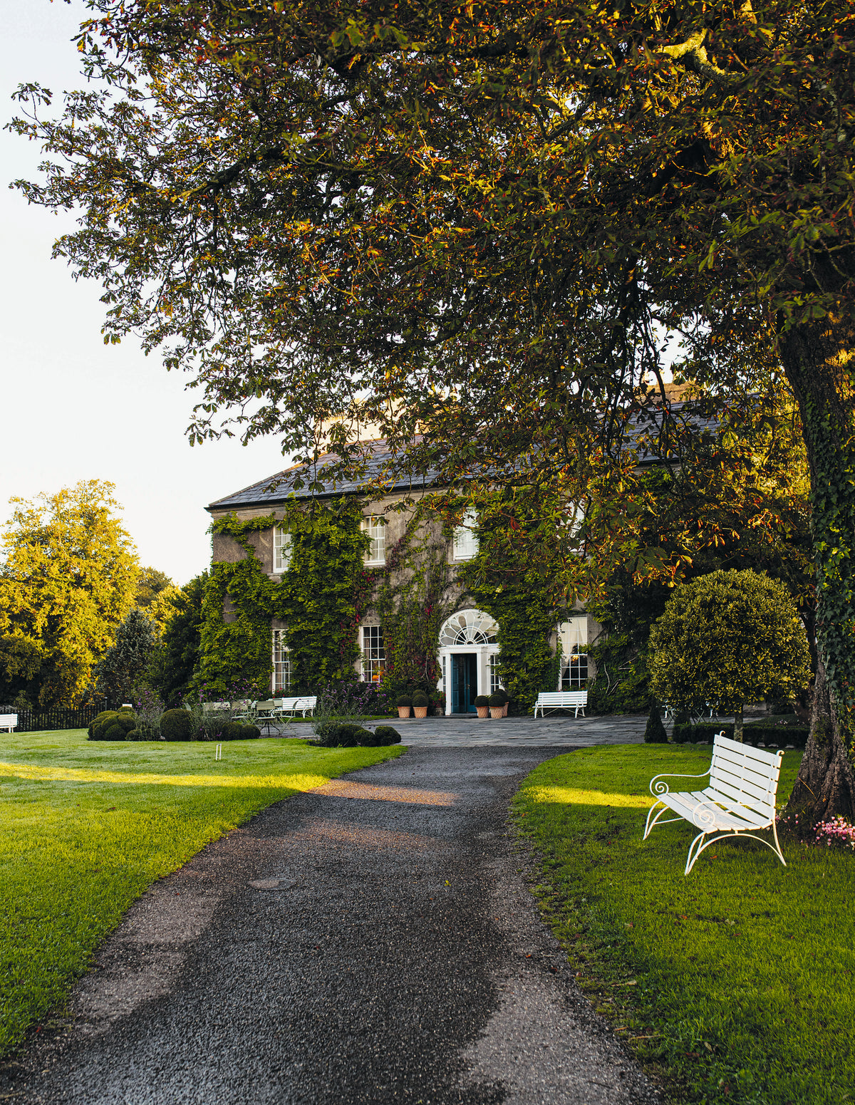 The country house that nurtured Ballymaloe Desserts – Phaidon