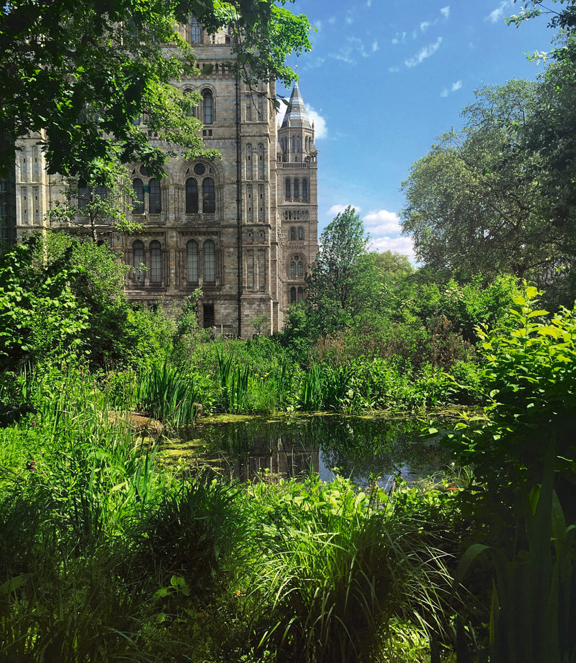Three London gardens to cool off in this lunchtime – Phaidon
