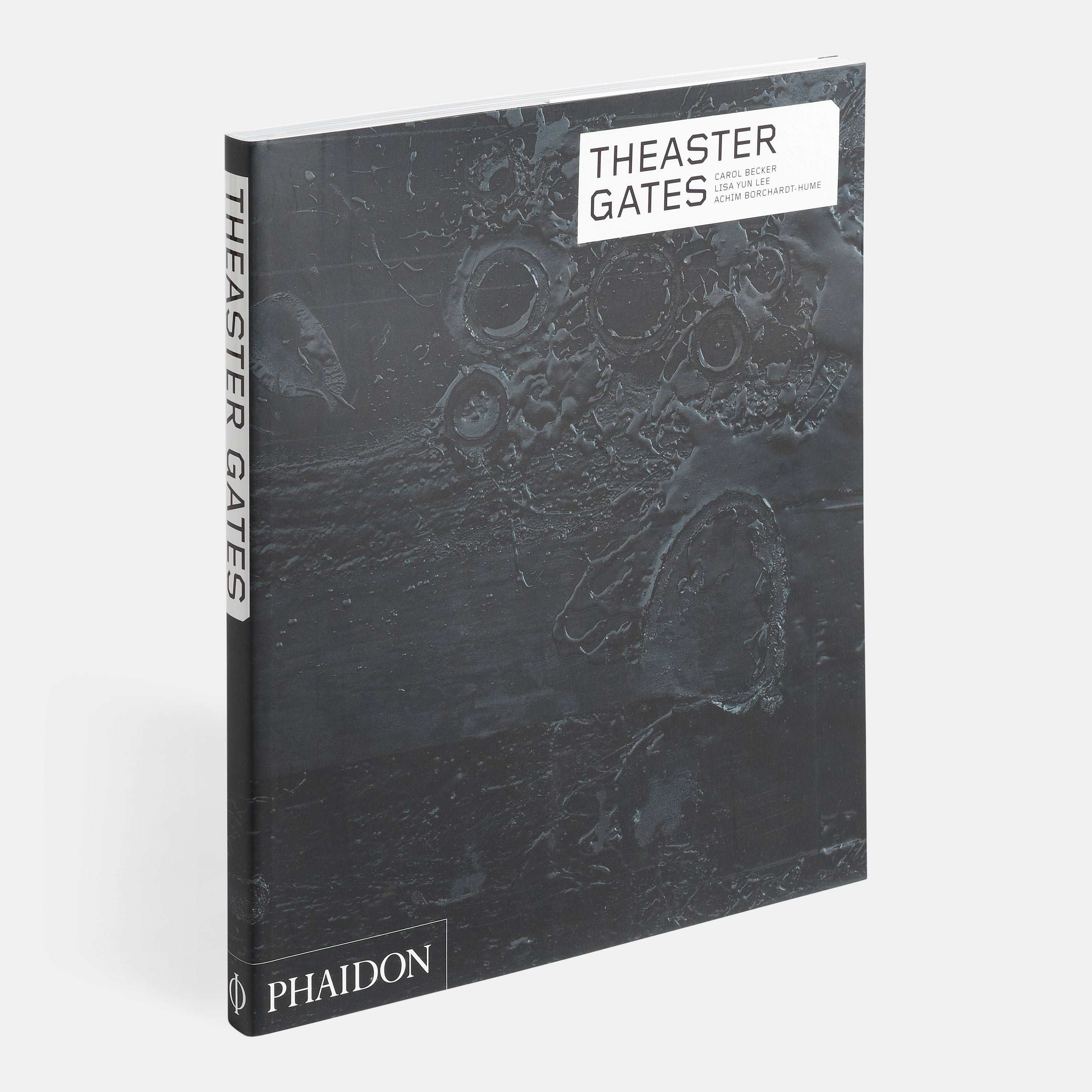 Theaster Gates | Standard Edition | 9780714868806 – Phaidon