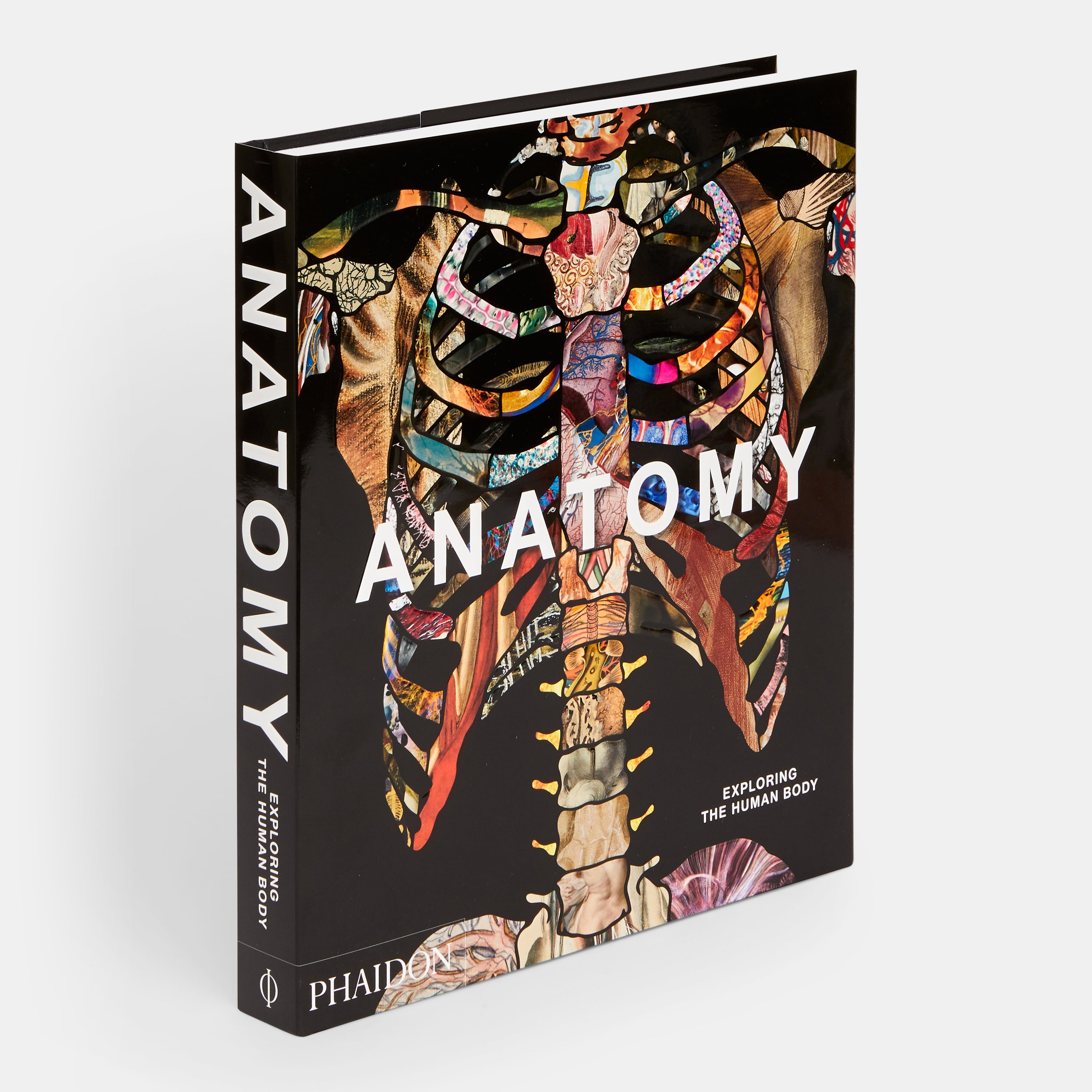 Anatomy: Exploring the Human Body | Standard Edition | 9780714879888 ...