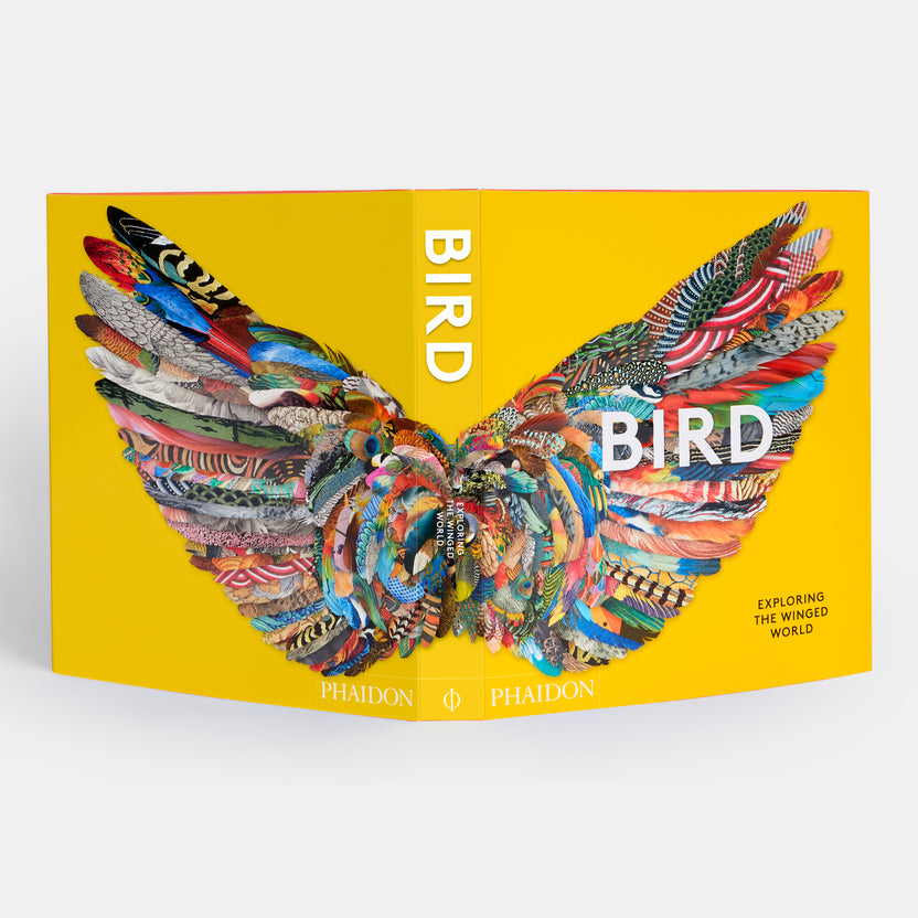 Bird: Exploring the Winged World | Standard Edition | 9781838661403 ...