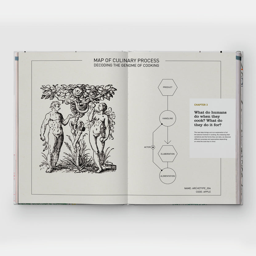 What is Cooking: The Action: Cooking, The Result: Cuisine | Standard ...