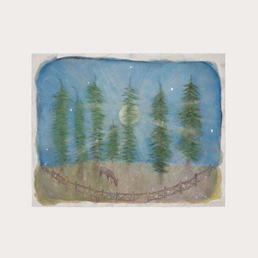 The Cathedrals of Central Park: William Shakespeare's Fence – Phaidon