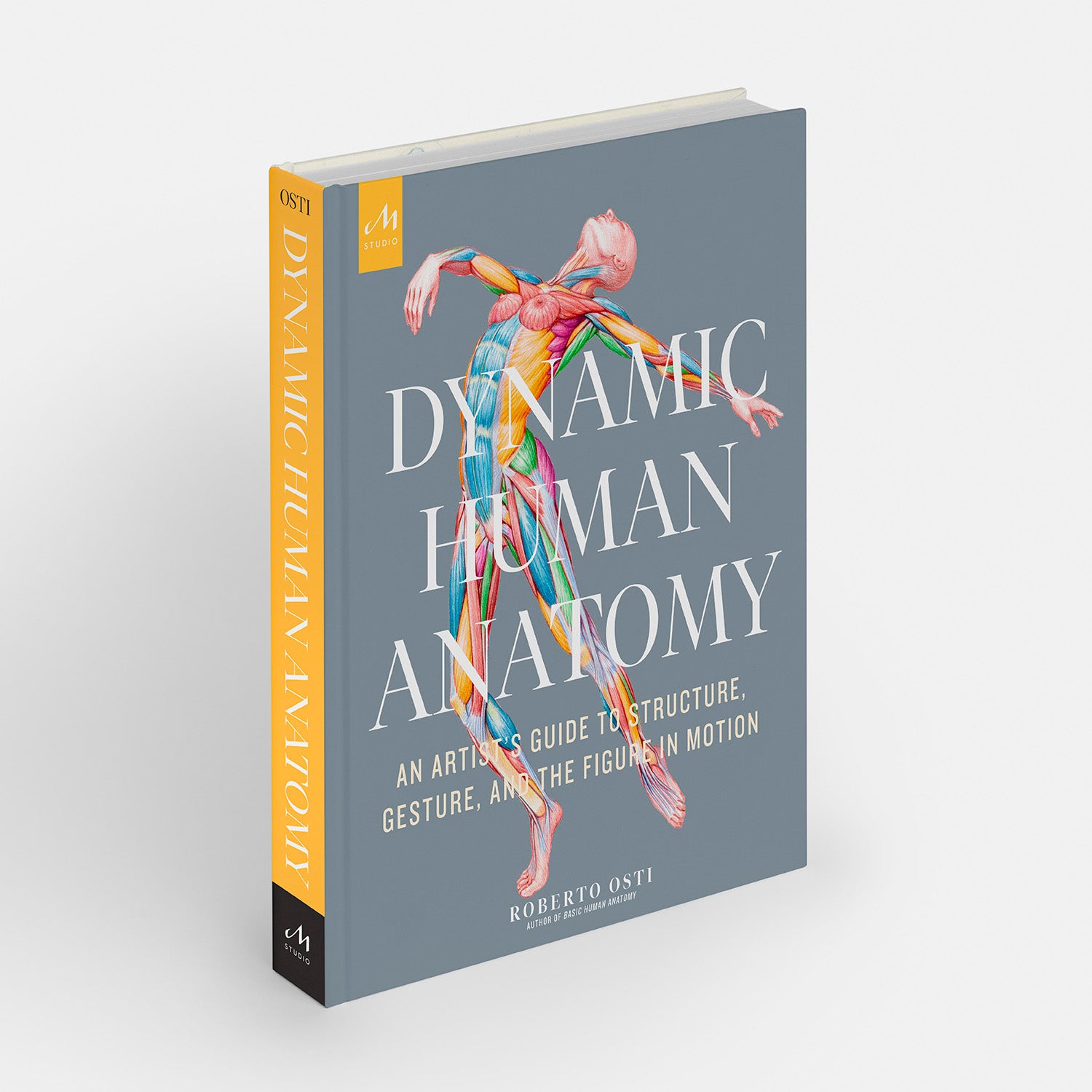 Dynamic Human Anatomy: An Artist's Guide to Structure, Gesture, and the ...