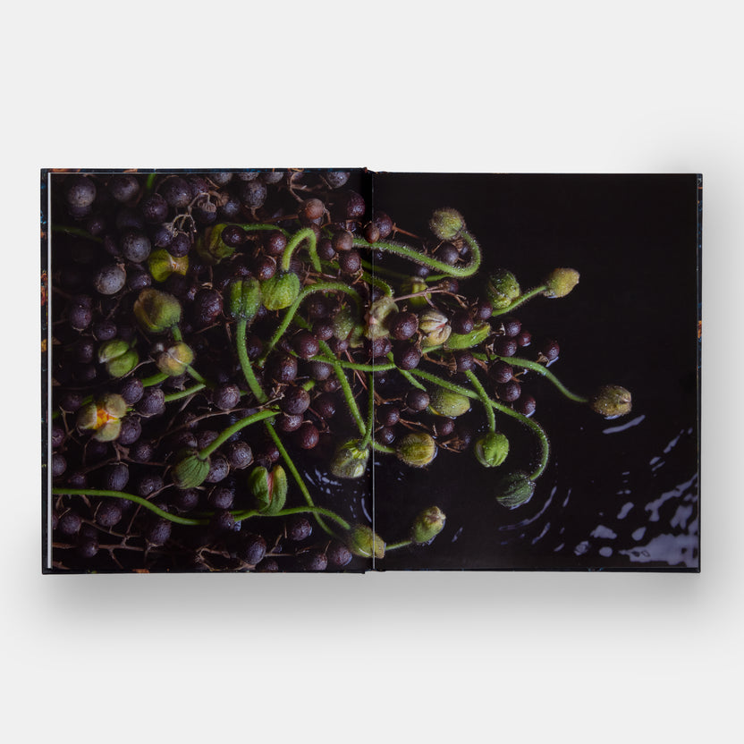Emily Thompson Flowers | Standard Edition | 9781580936521 – Phaidon