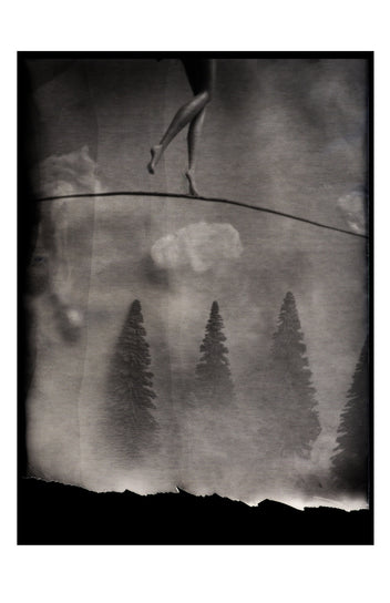 Sleepwalk – Phaidon