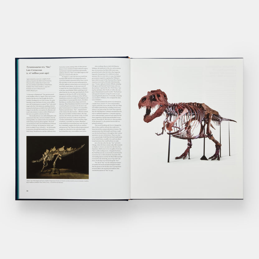 Icons: 100 Extraordinary Objects from Sotheby's History | Standard ...