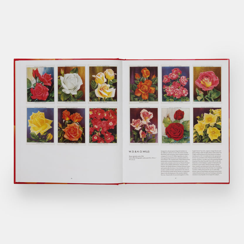The Rose Book | Standard Edition | 9781838668808 – Phaidon